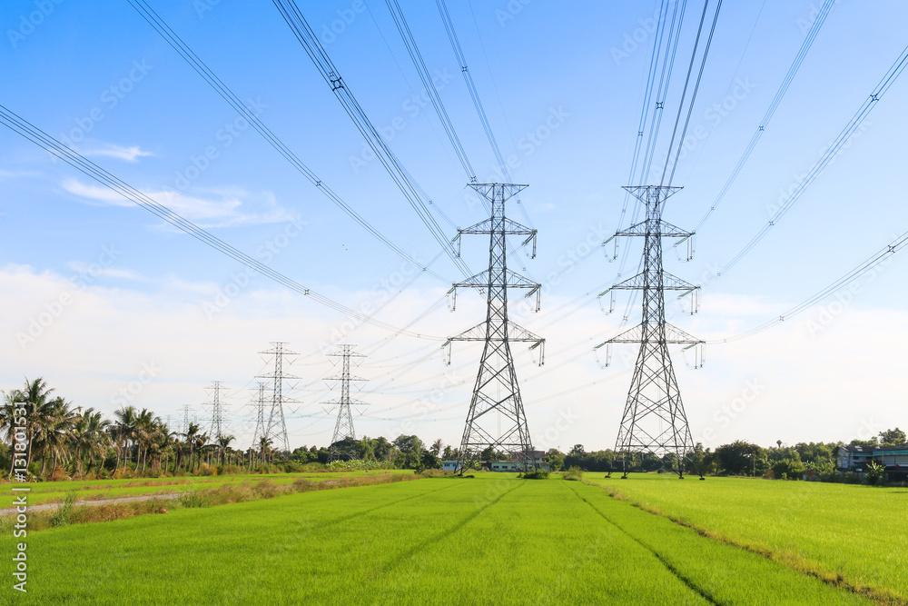 Electric pole or high voltage post on a paddy field with blue sky ...