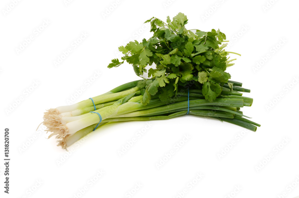 Bunch of scallions, or green onions, spring onions and parsley on white ...