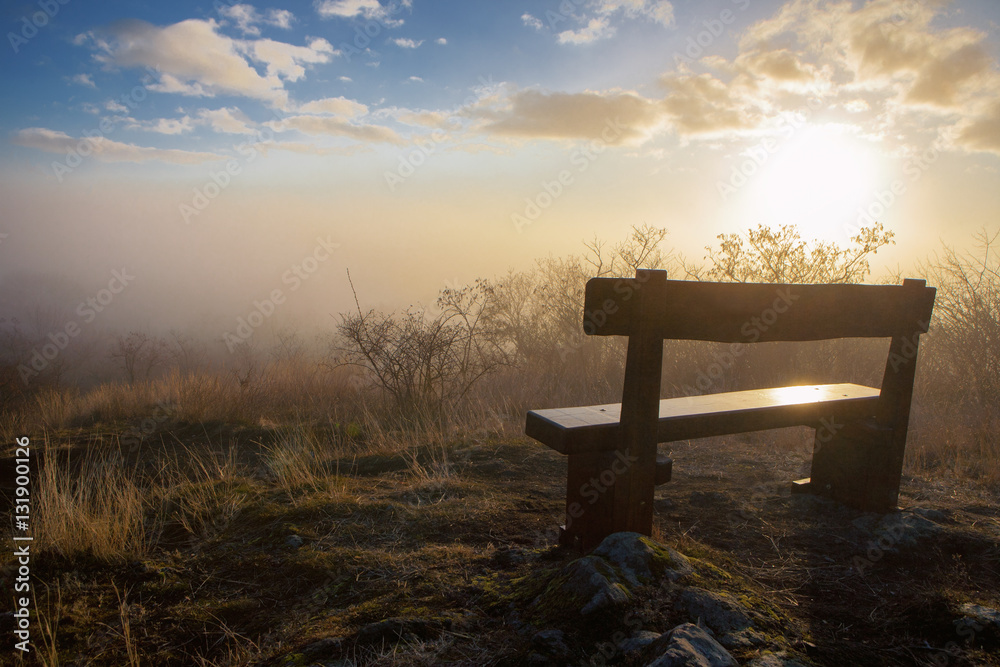 Lonely bench in a foggy forest at sunset Stock Photo | Adobe Stock