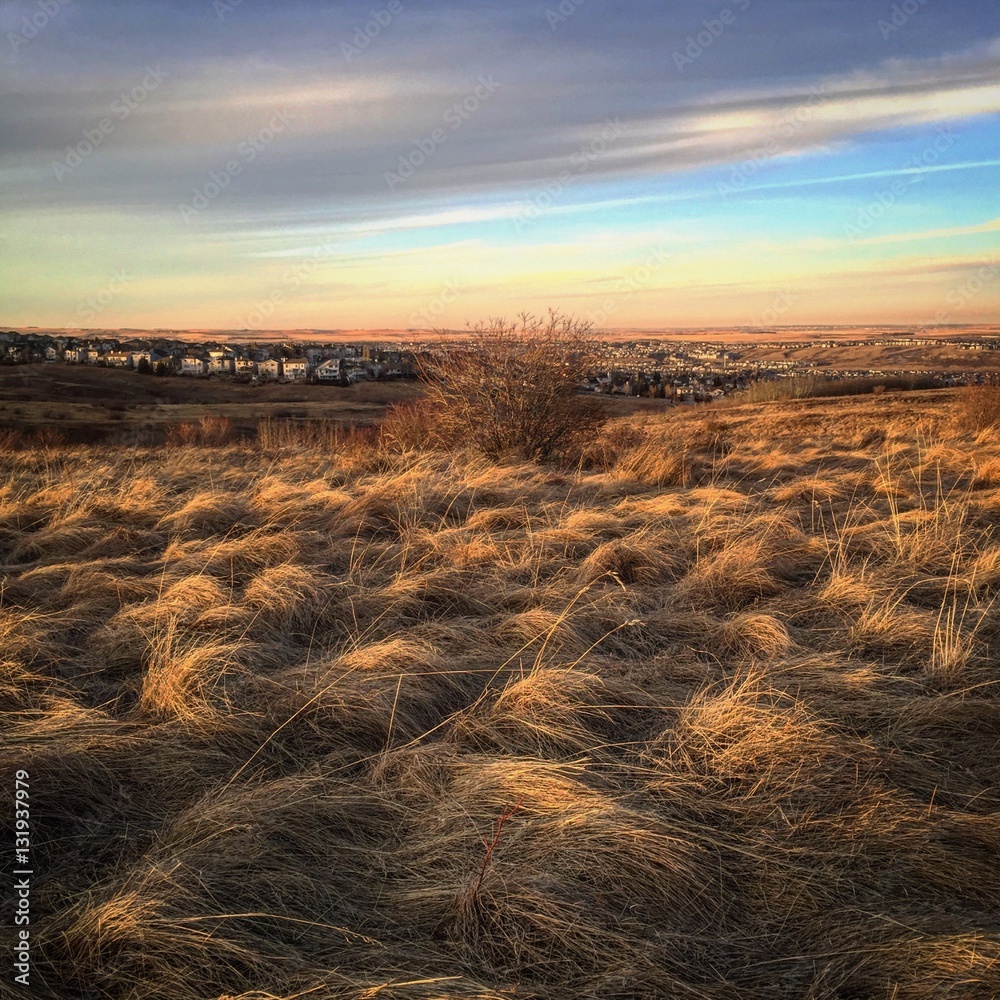 Scenic field landscape with colorful bright sunset sky. Alberta prairie ...