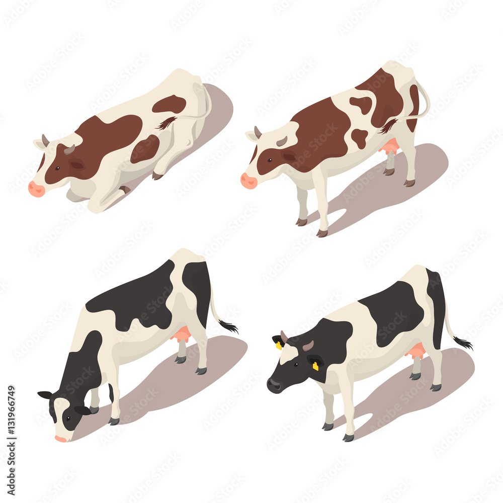 Isometric 3d vector set of cows. Stock Vector | Adobe Stock