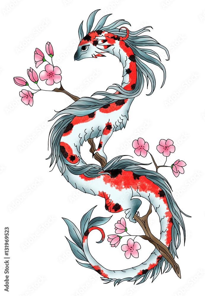 Koi Dragon Drawings