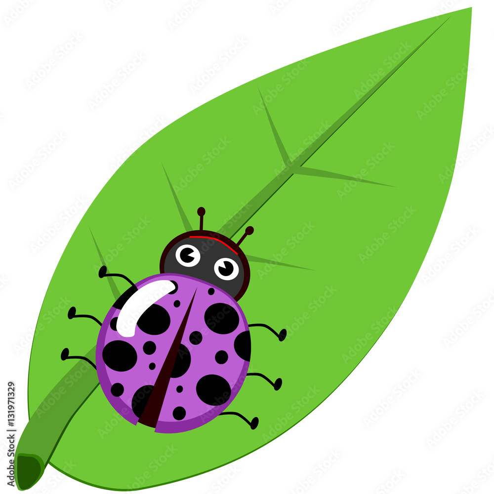 Ladybug on leaf Stock Vector | Adobe Stock