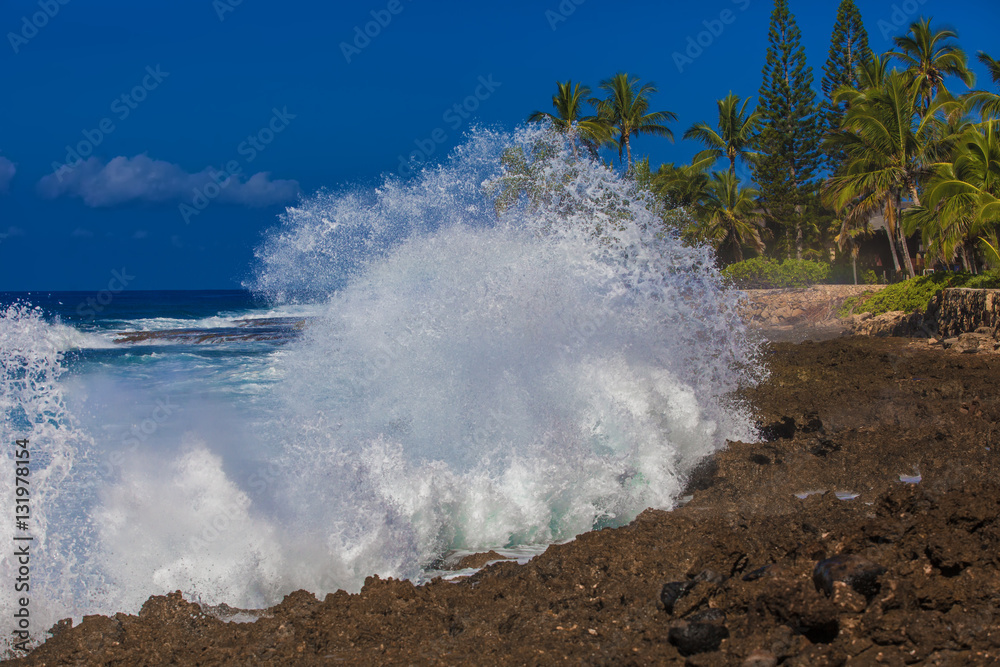 Sea waves crashing against the rocks at tropical beach with palm trees ...
