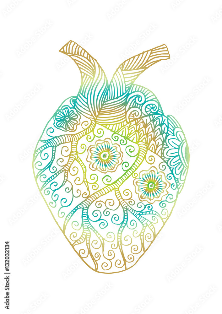 Hand drawn human heart. Doodle style. Stock Illustration | Adobe Stock