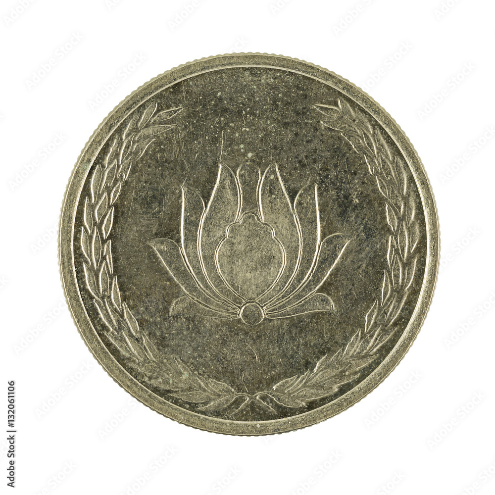 250 iranian rial coin isolated on white background Stock Photo | Adobe ...