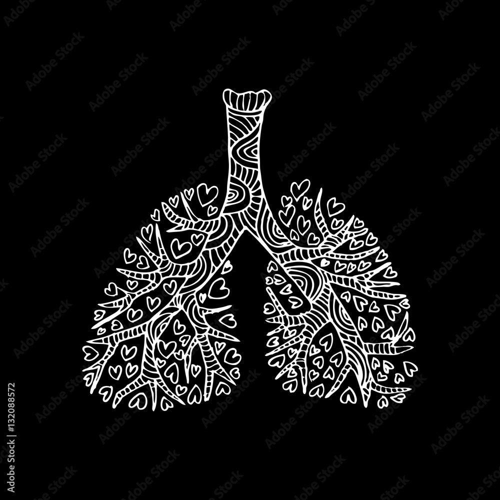 Lungs. Doodle drawing of human organ. Stock Illustration | Adobe Stock