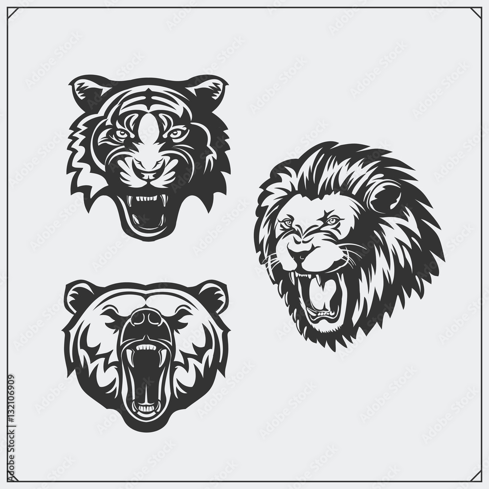 Illustrations of wild animals. Bear, lion and tiger. Stock Vector ...