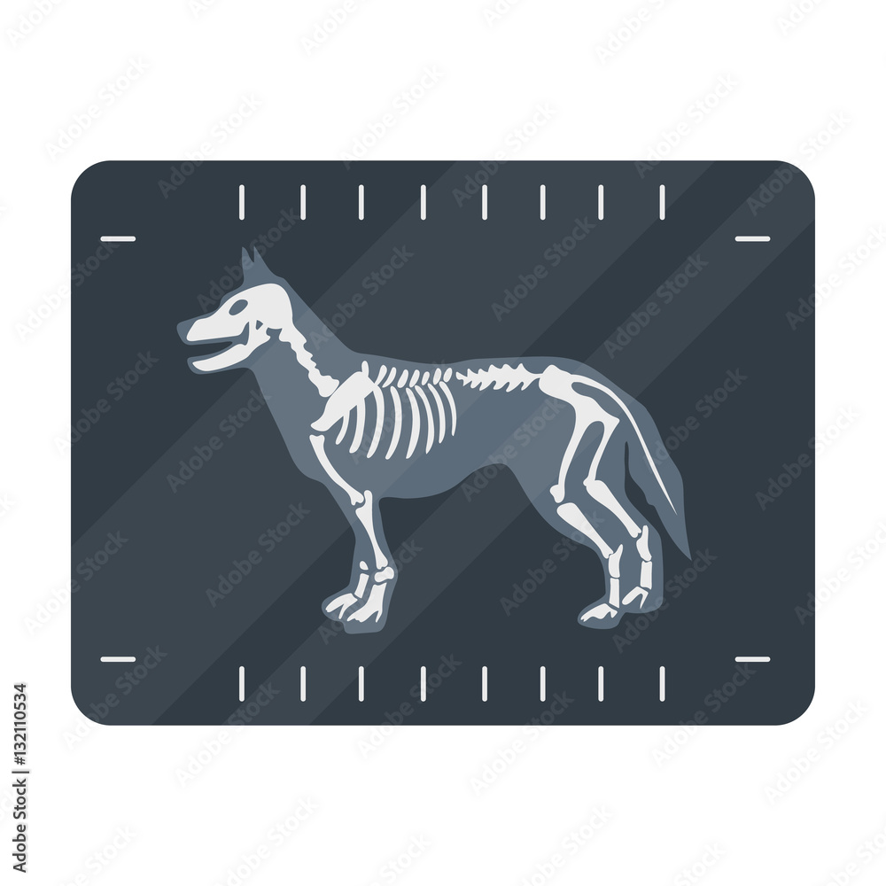 Dog x-ray icon in cartoon style isolated on white background ...