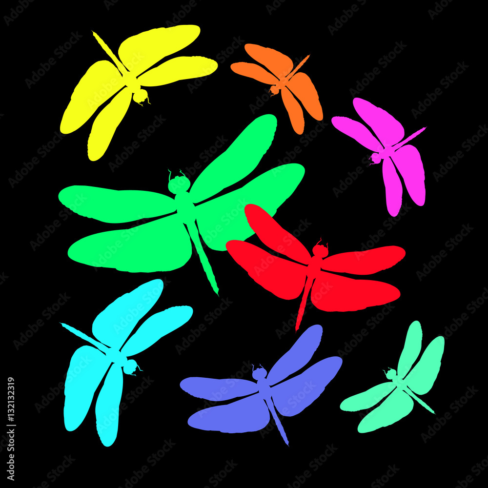 vector color art dragonfly nature wildlife fly Stock Vector | Adobe Stock