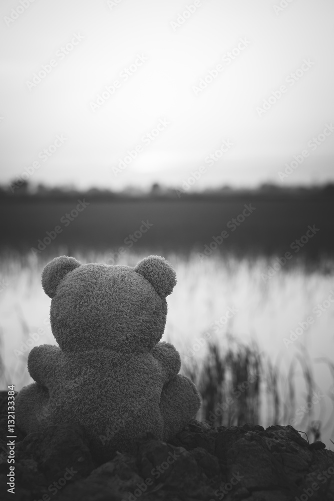 Black and white bear sad,In a deep depression, black&white, concept ...