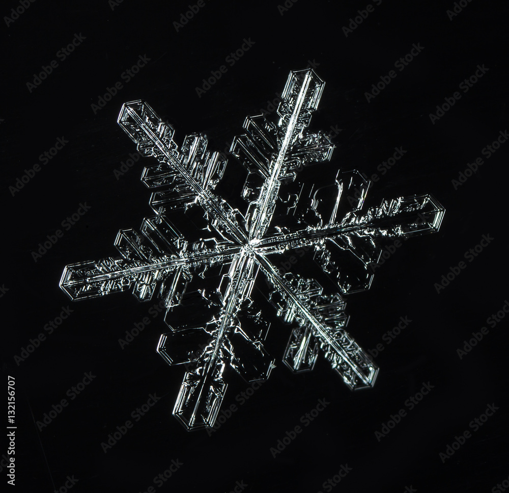 natural snowflakes, photo real snowflakes during a snowfall, under ...