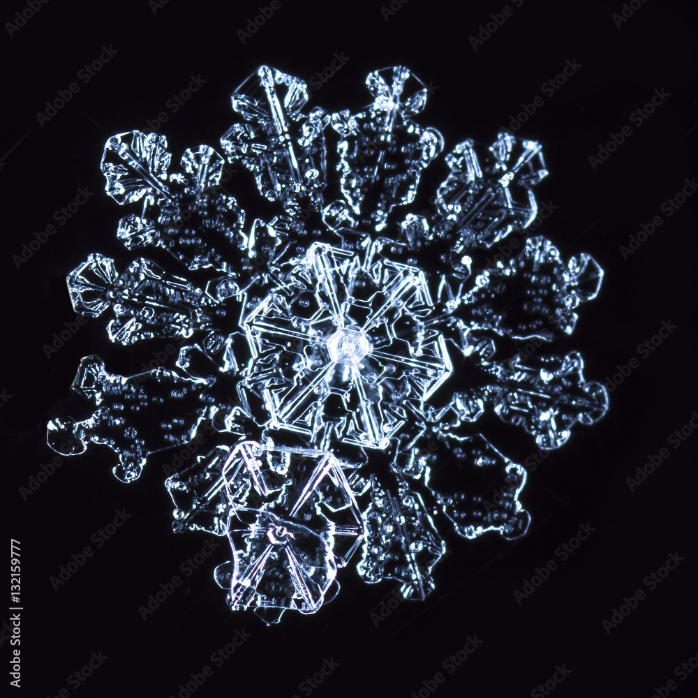 natural snowflakes, photo real snowflakes during a snowfall, under ...