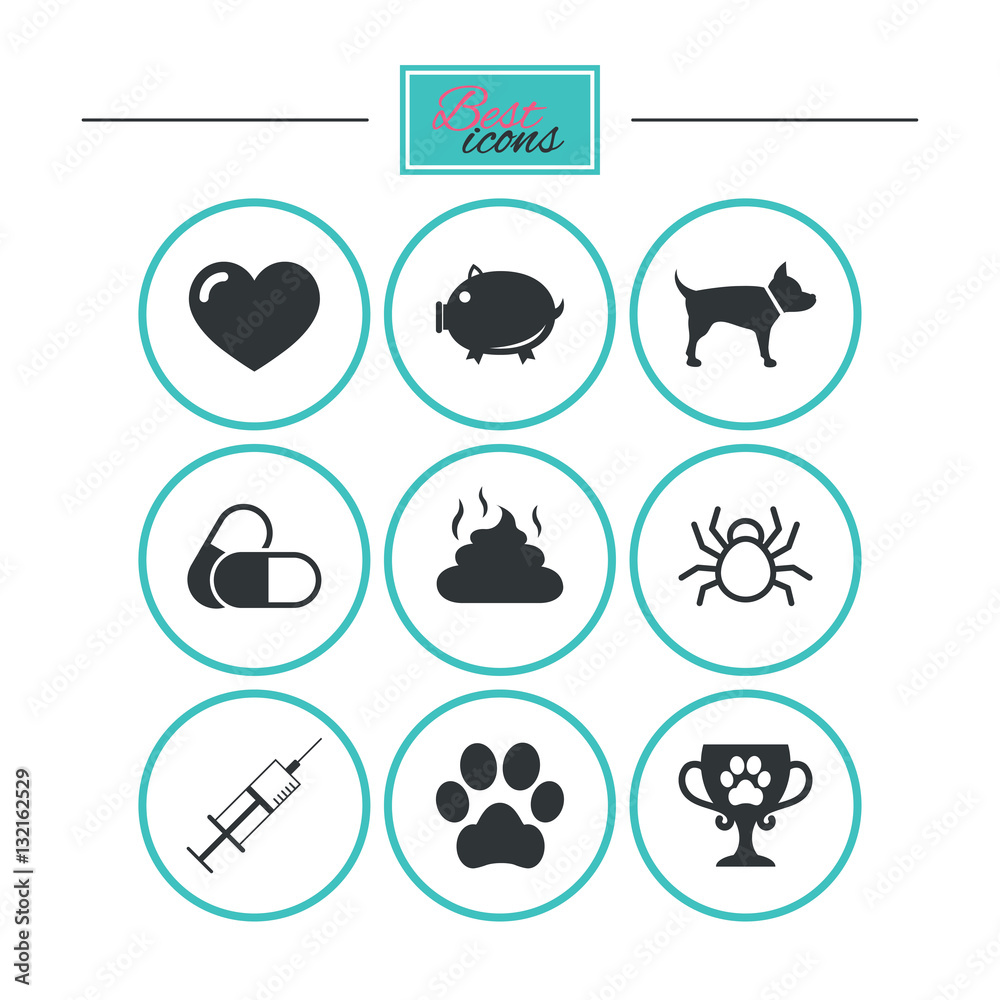 Veterinary, pets icons. Dog paw, syringe signs. Stock Vector | Adobe Stock