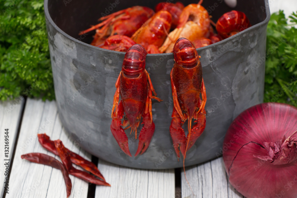 Fresh steamed crayfish. Two crayfish hanging on the tails. Boiled ...