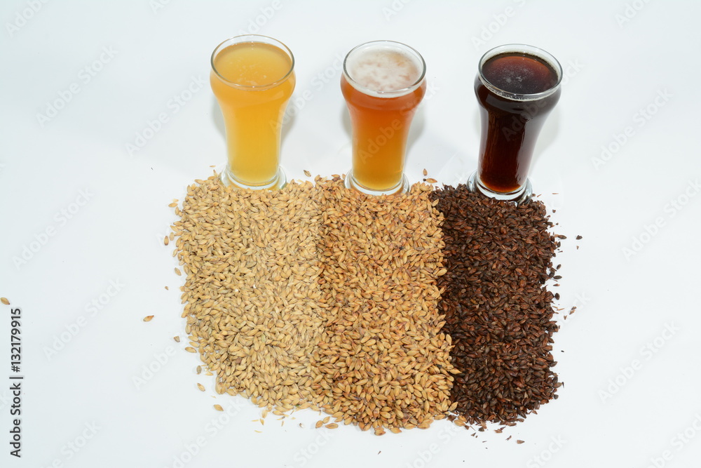 Home brew beer ingredients with various grains illustrating different ...