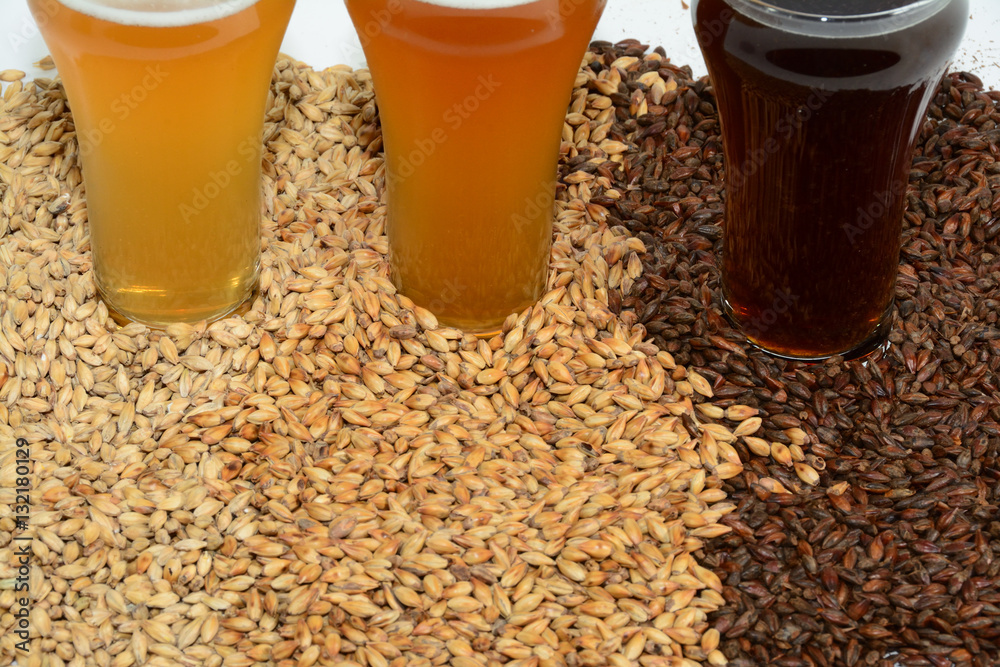 Home brew beer ingredients with various grains illustrating different ...