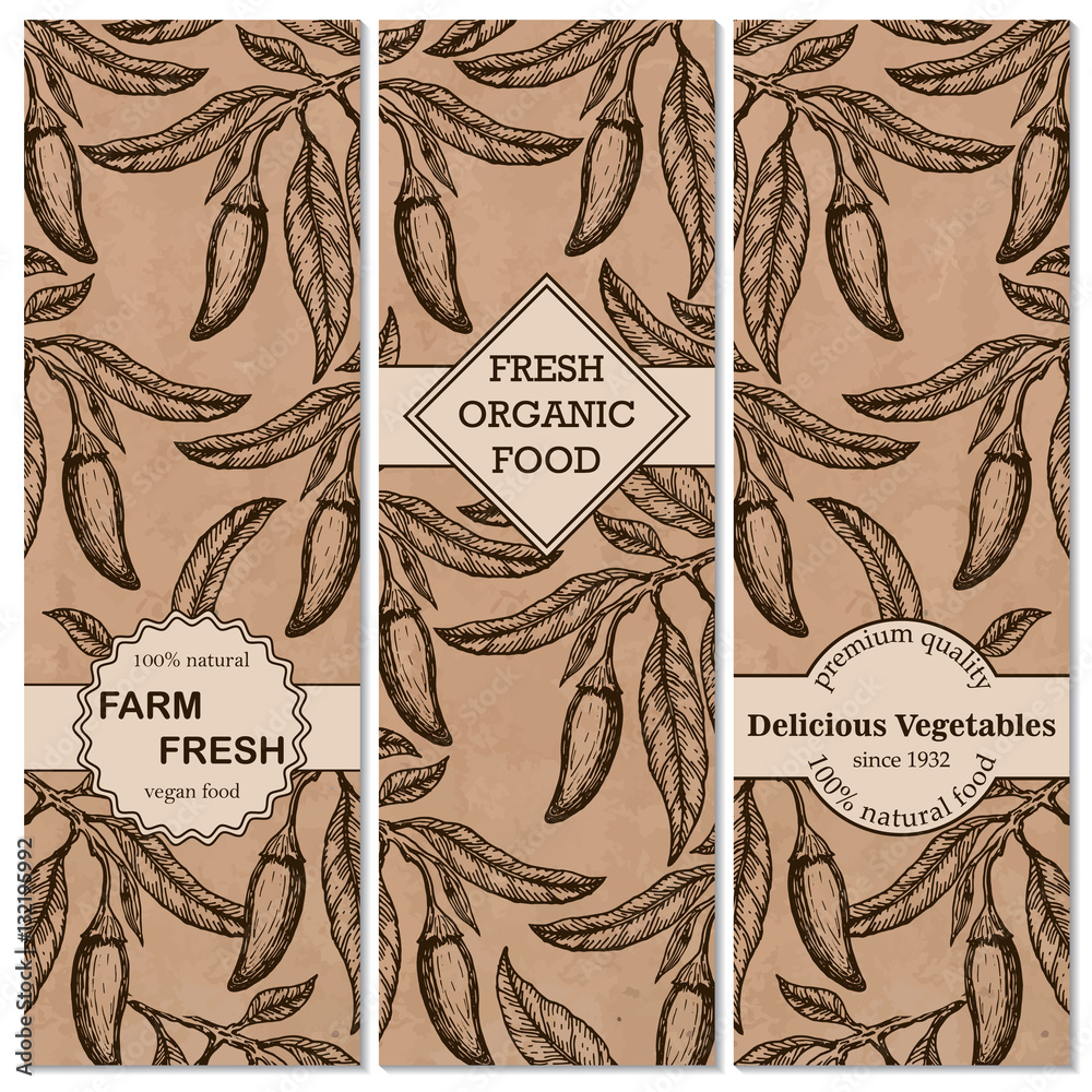 Template for label design with vintage sketched chili pepper. Can be ...