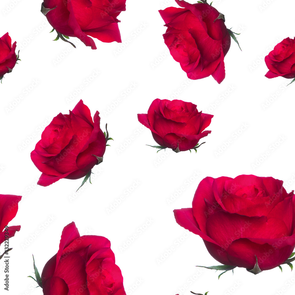 seamless pattern of red roses on a white background Stock Photo | Adobe ...