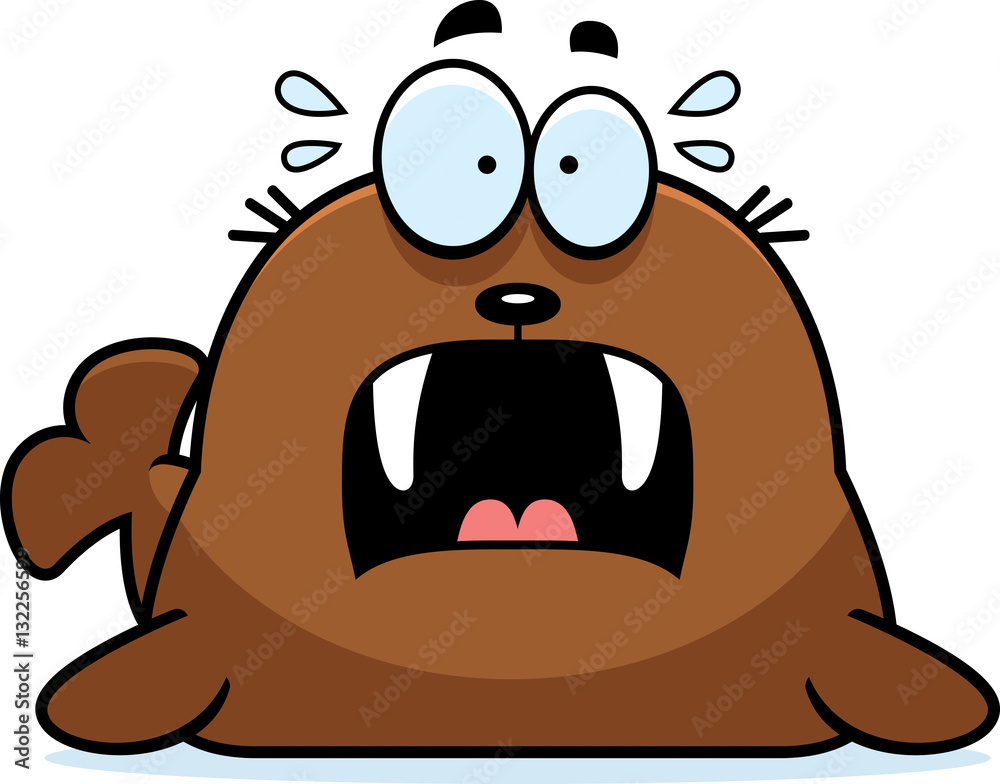 Scared Cartoon Walrus Stock Vector | Adobe Stock