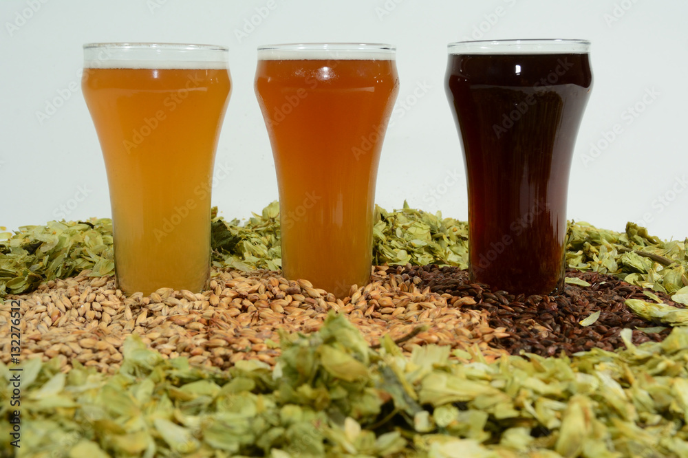 Home brew beer ingredients with various grains illustrating different ...