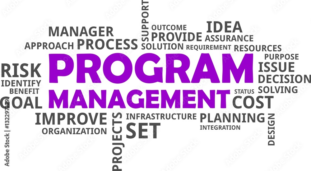 word cloud - program management Stock Vector | Adobe Stock