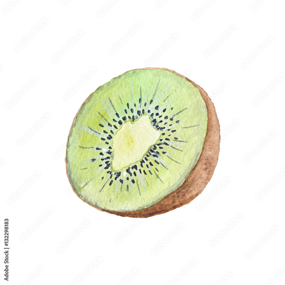 Watercolor Kiwi Hand-Painted Isolated Stock Illustration | Adobe Stock
