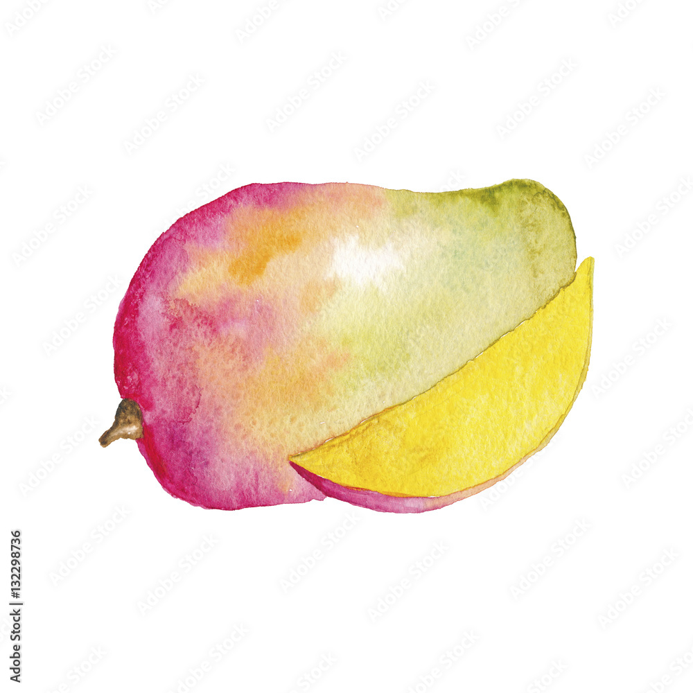 Watercolor Mango Hand-Painted Isolated Stock Illustration | Adobe Stock