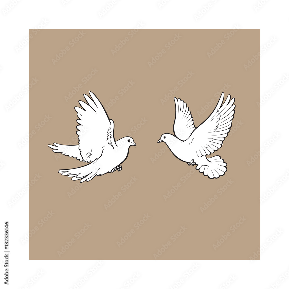 Two free flying white doves, sketch vector illustration isolated on ...