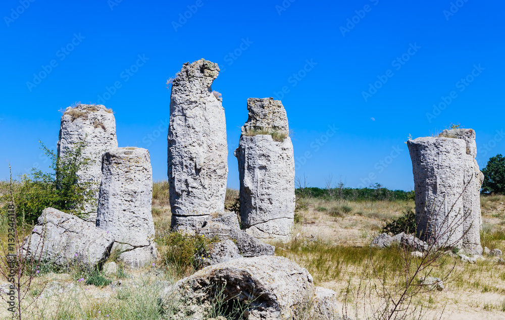 The natural phenomenon Pobiti Kamani, known as The Stone Forest ...
