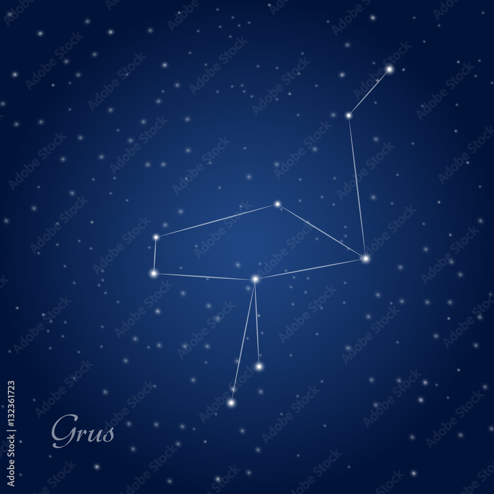 Grus Constellation