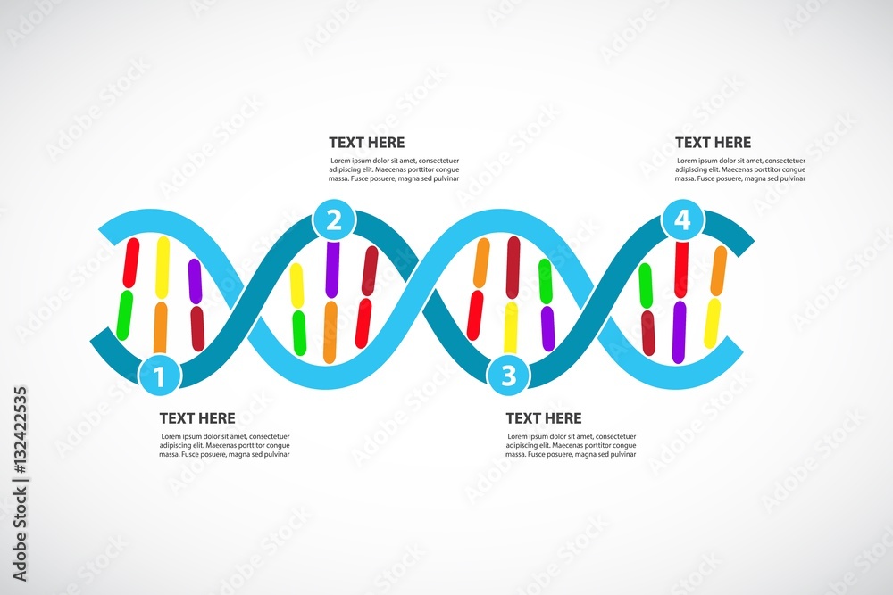 DNA timeline. Process template. Vector infographics. Stock Vector ...