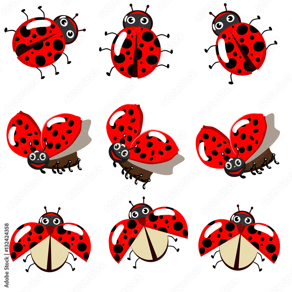 Cute colorful ladybugs clip art collection isolated on white background ...