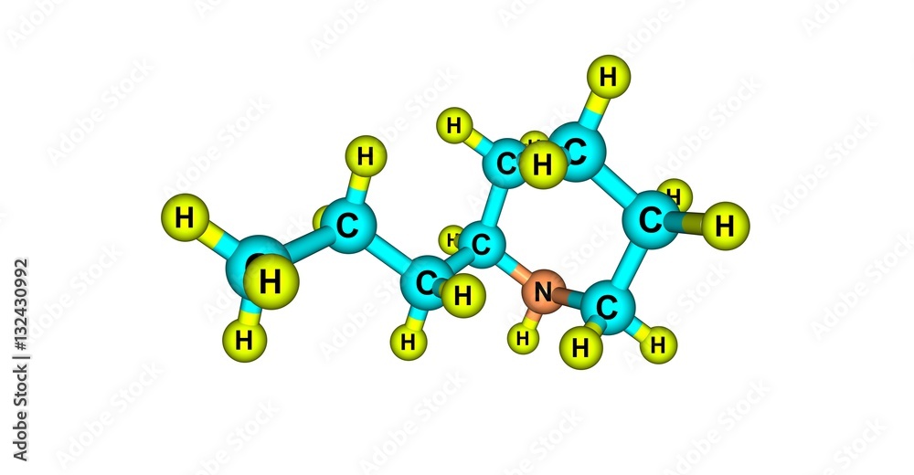 Coniine molecular structure isolated on white Stock Illustration ...