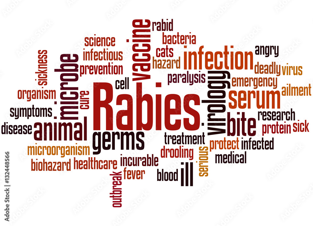 Rabies, word cloud concept Stock Illustration | Adobe Stock