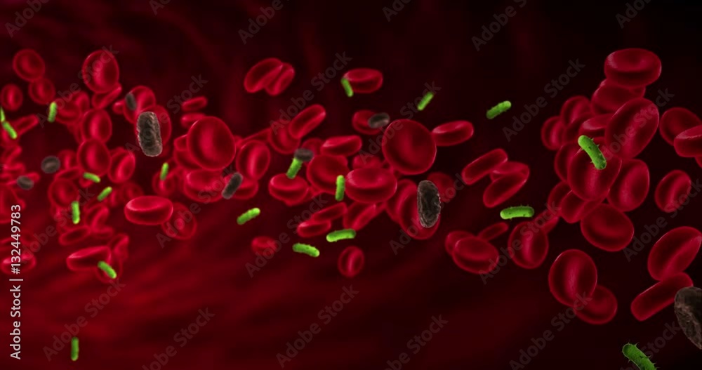 Stockvideo red blood cells in an artery with diseased cells near virus ...