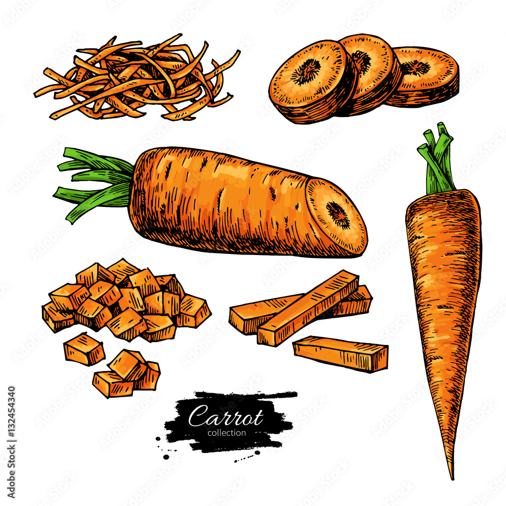 Carrot hand drawn vector illustration set. Isolated Vegetable artistic ...