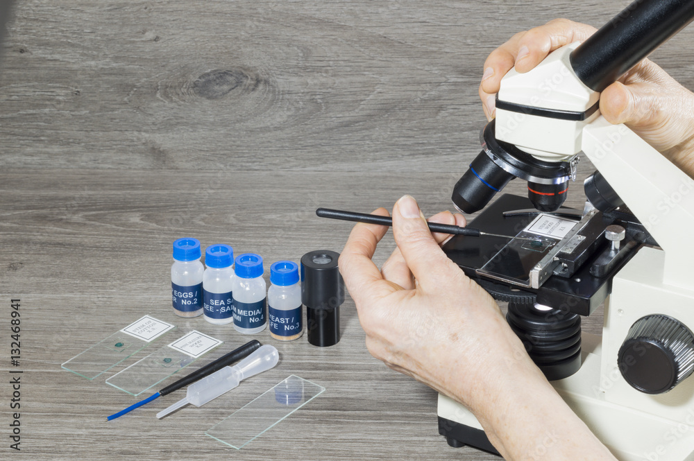 las manos de una persona sobre un microscopio de laboratorio ...
