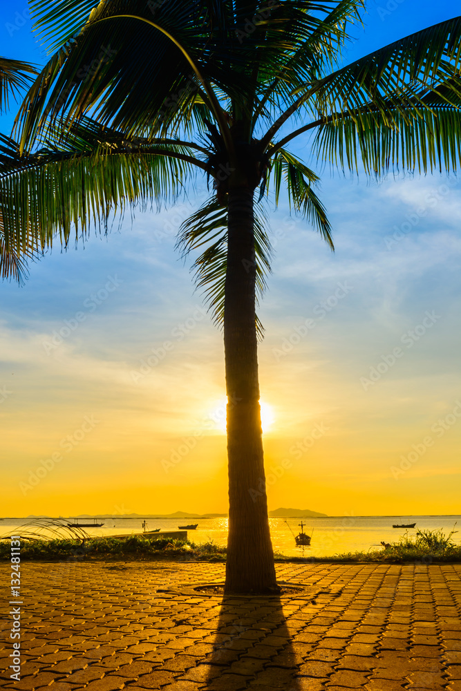 Coconut tree on beach with warm light and sunset background Stock Photo ...