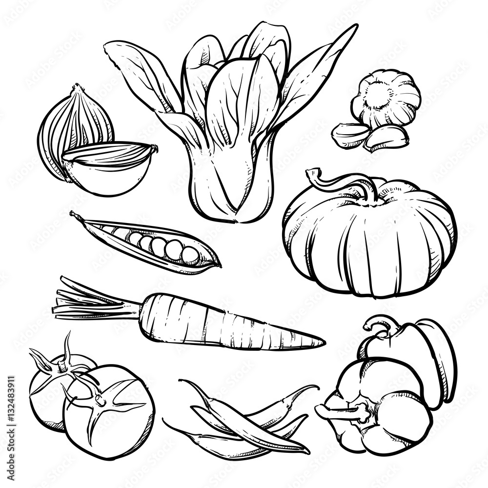 Vecteur Stock Vegetables outline vector illustration, Hand drawn vector ...