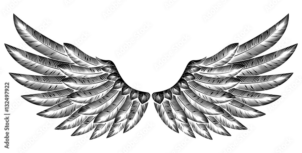 Pair of Bird Wings Stock Vector | Adobe Stock
