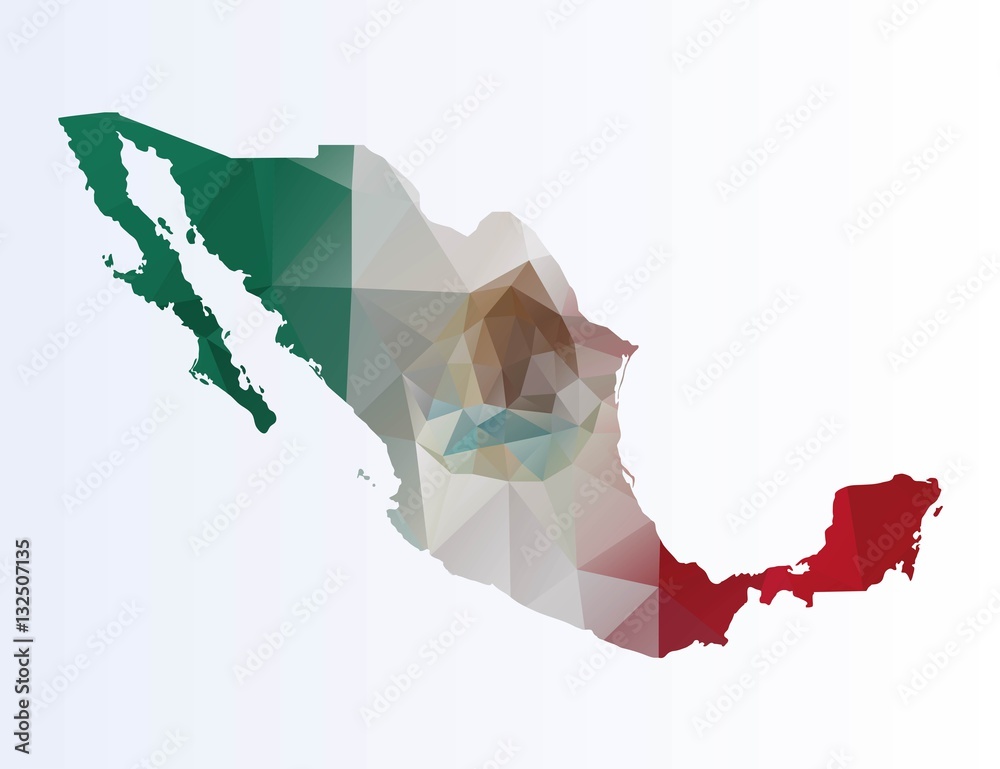 Polygonal map of Mexico Stock Vector | Adobe Stock