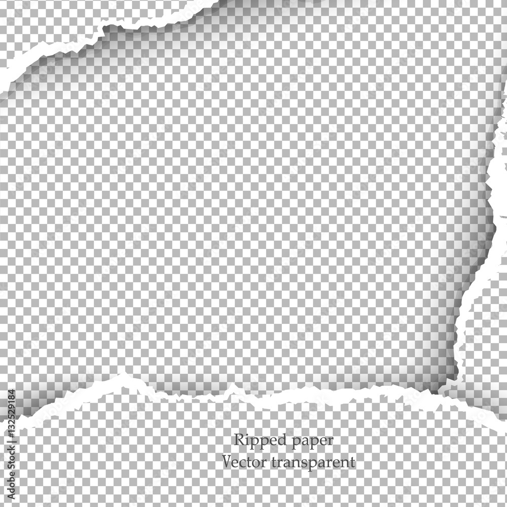 ripped paper and transparent background with space for text, vector art ...