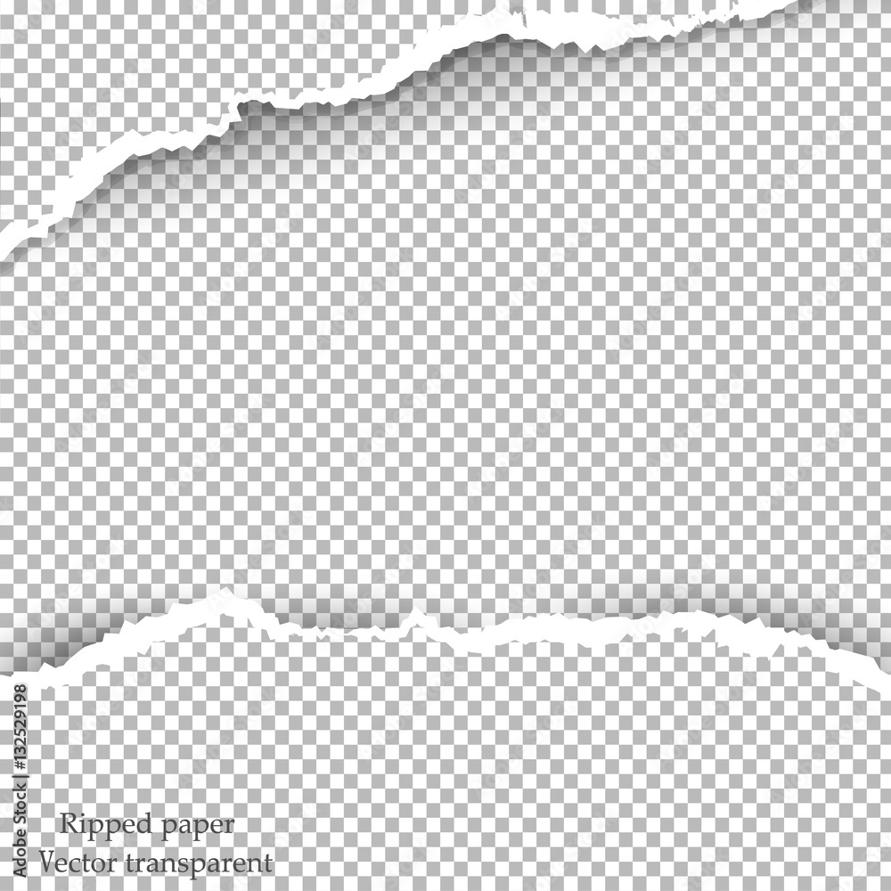 ripped paper and transparent background with space for text, vector art ...