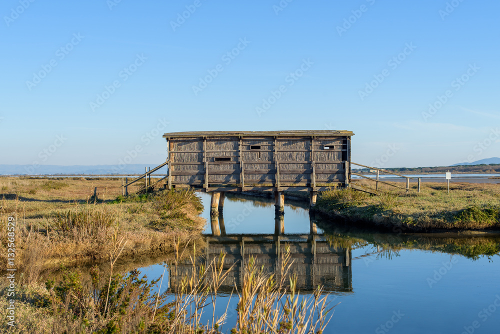 wooden bird watching hut in a nature reserve Stock Photo | Adobe Stock