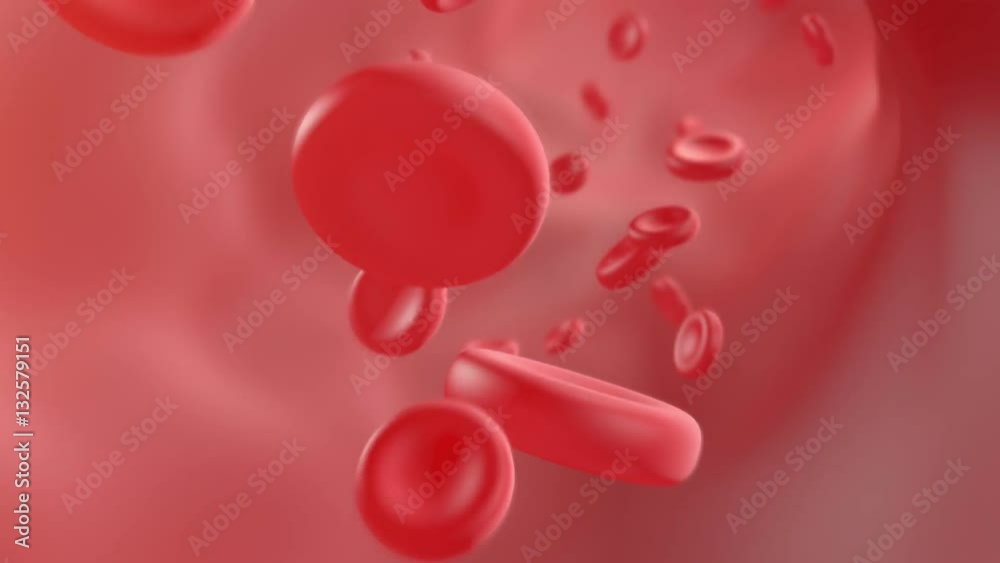 Blood flowing through the arteries, 3d animation. Seamless loop full HD ...