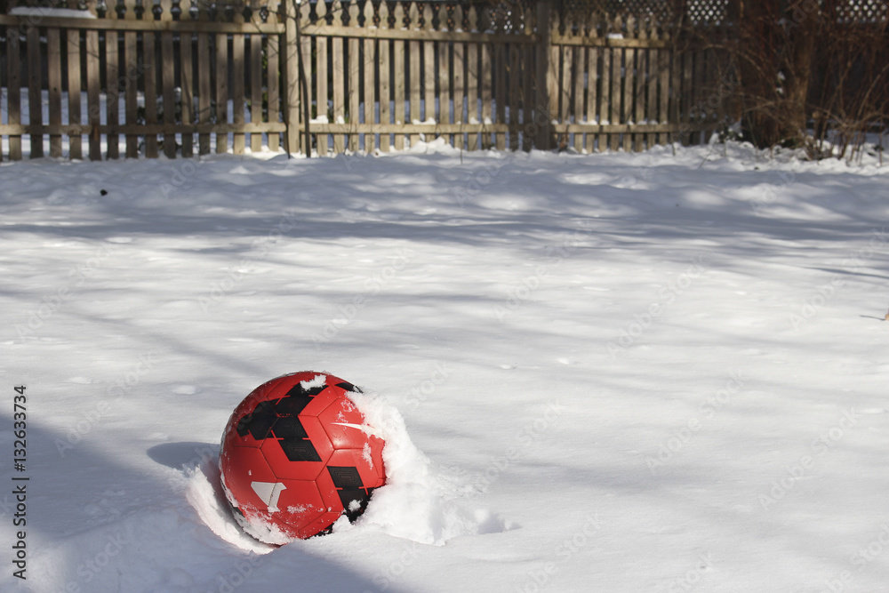 Soccer Ball In Snow