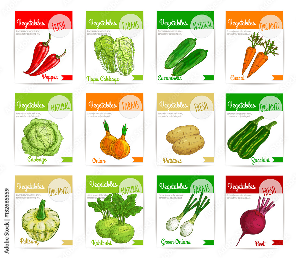 Fresh vegetable label, banner and tag set design Stock Vector | Adobe Stock