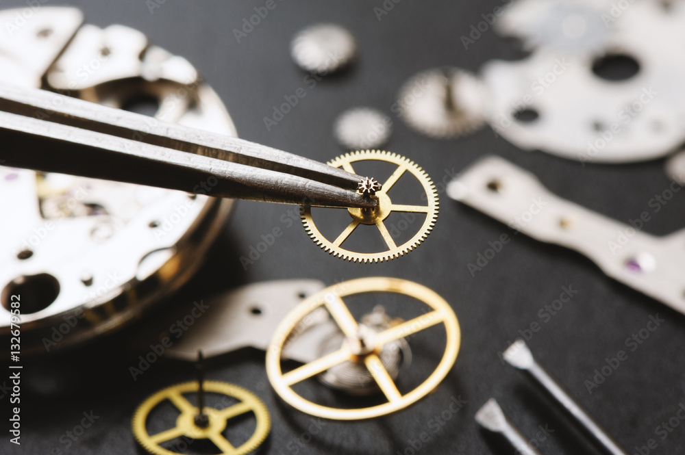 parts of automatic wristwatch Stock Photo | Adobe Stock