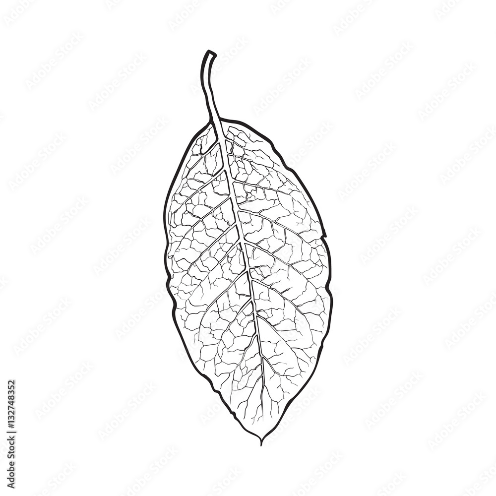 Tobacco Production Drawings